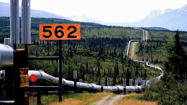 Эффект полета над трубопроводом в  лесу.