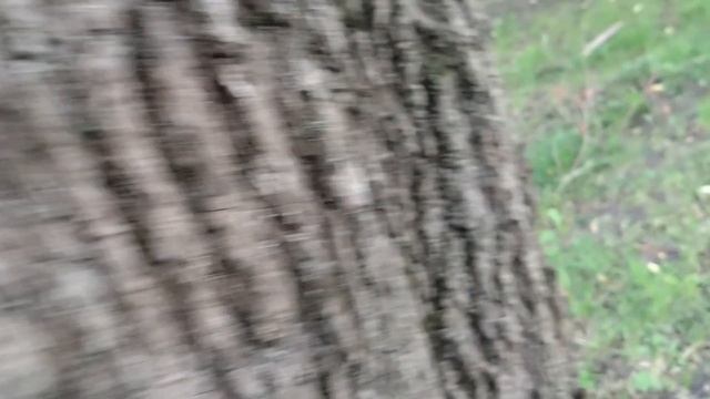 Нашёд лесного гномика 😱