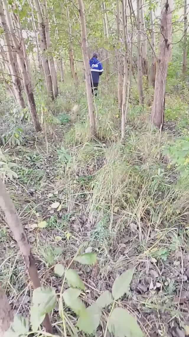 хозяин леса разозлился