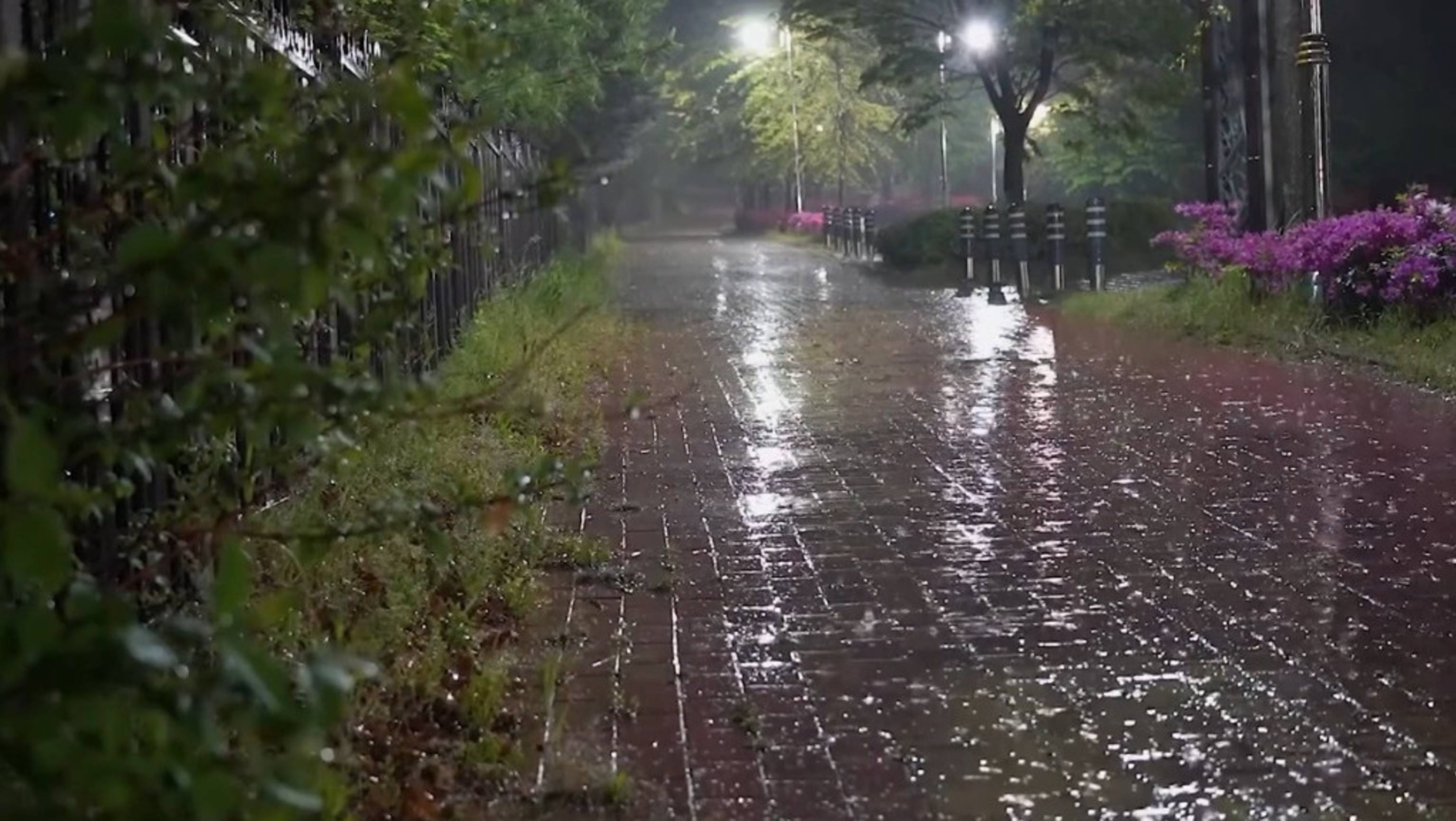 Звуки дождя для сна 💤😴 Релакс 🥱💤 Медитация 🌜💤 Спокойный сон 🌛💤