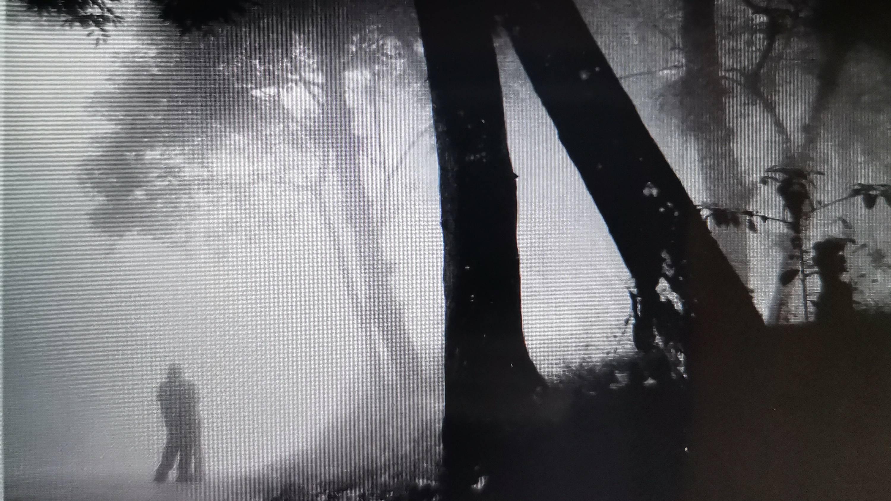 Дым, всё скрывает дым