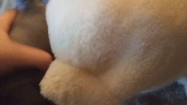 crazy путешествие часть 2