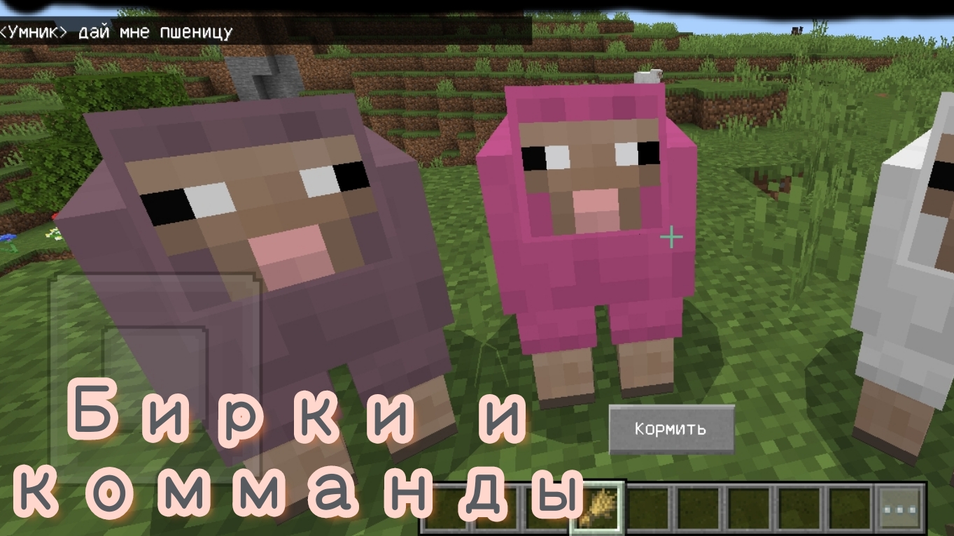 ЭТО САМЫЕ КЛАССНЫЕ БИРКИ И КОМАНДЫ В МАЙНКРАФТ! Энциклопедия Майнкрафта