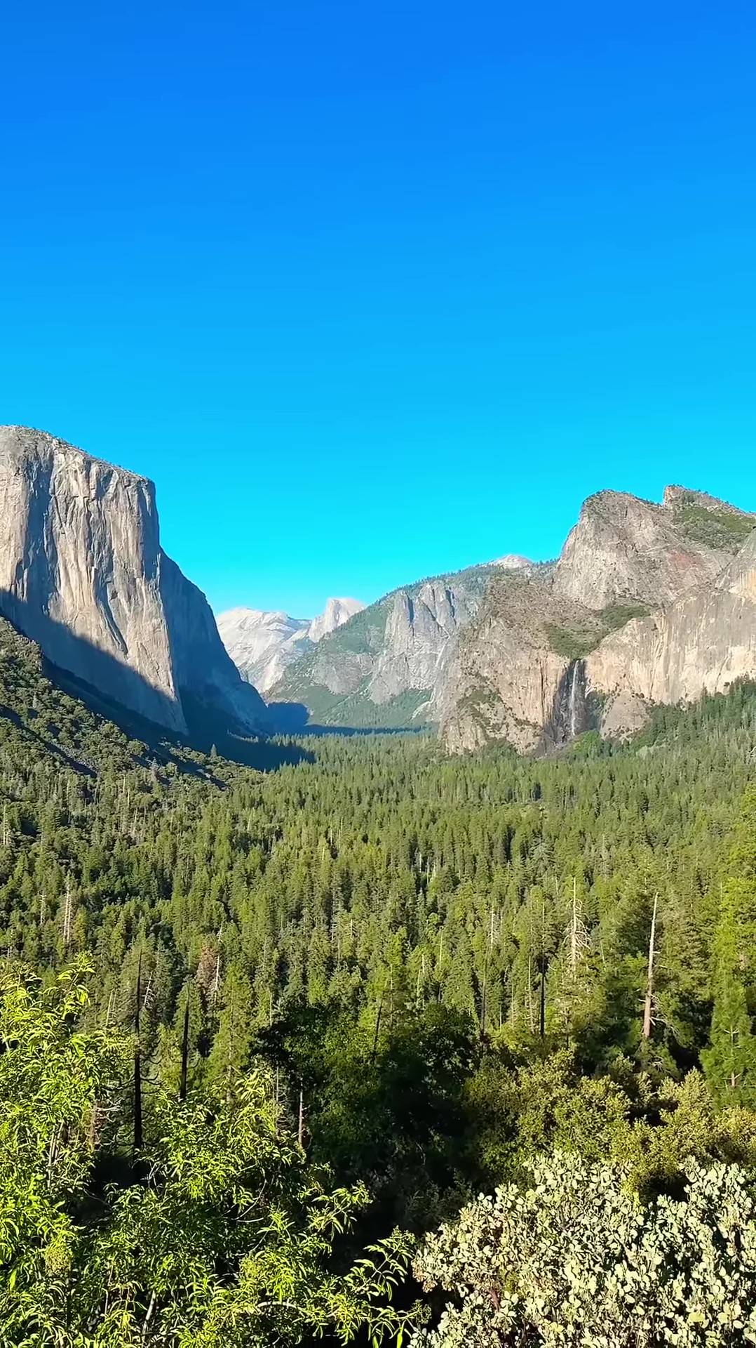Долина Йосемити с обзорной площадки 🏞️⛰️