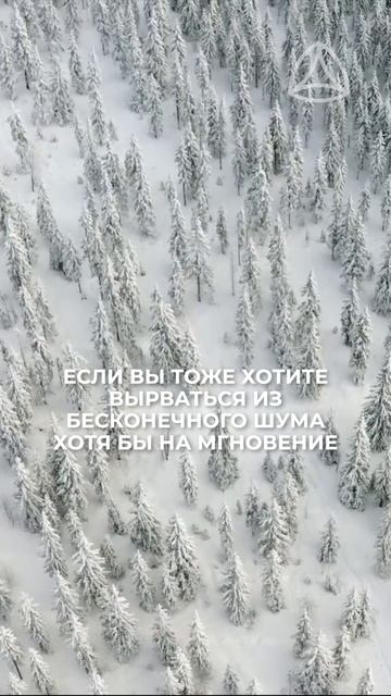 🌌 «147 дней тишины — без тундры и оленей»