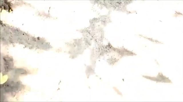 Богородичные праздники. Годовой круг.