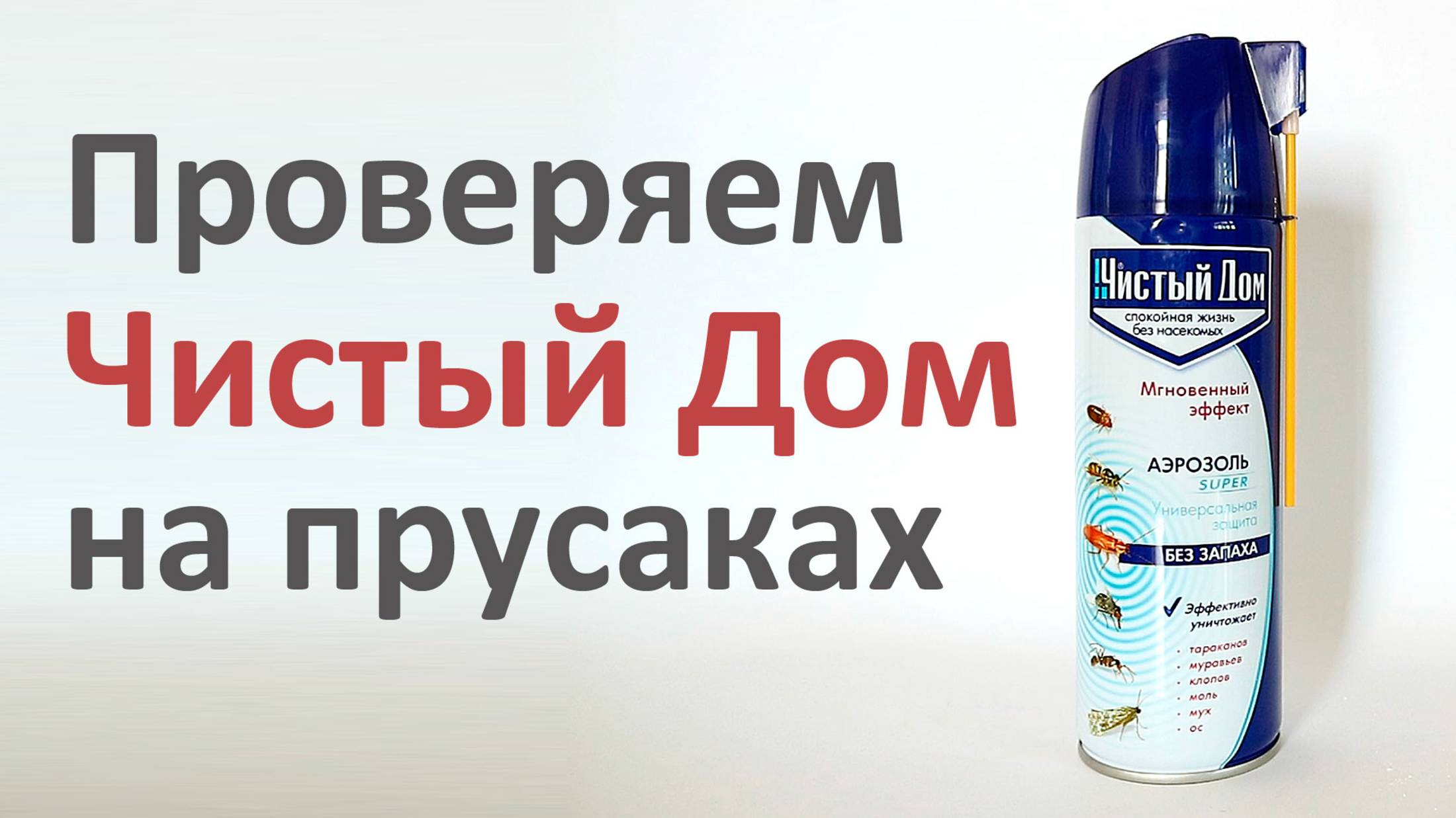 Чистый Дом приятно удивляет: тараканы погибли за 1 минуту и 8 секунд!