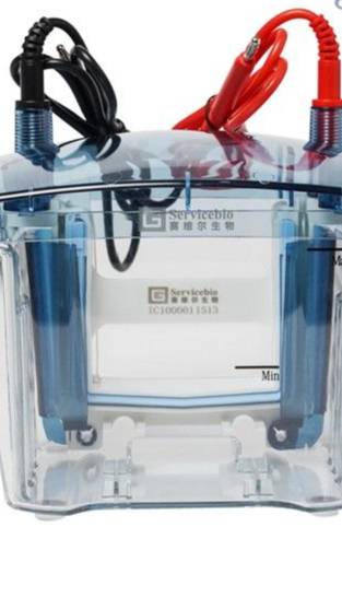 Камера для вертикального электрофореза BVE-4, 4 геля, 83х73 мм, Servicebio