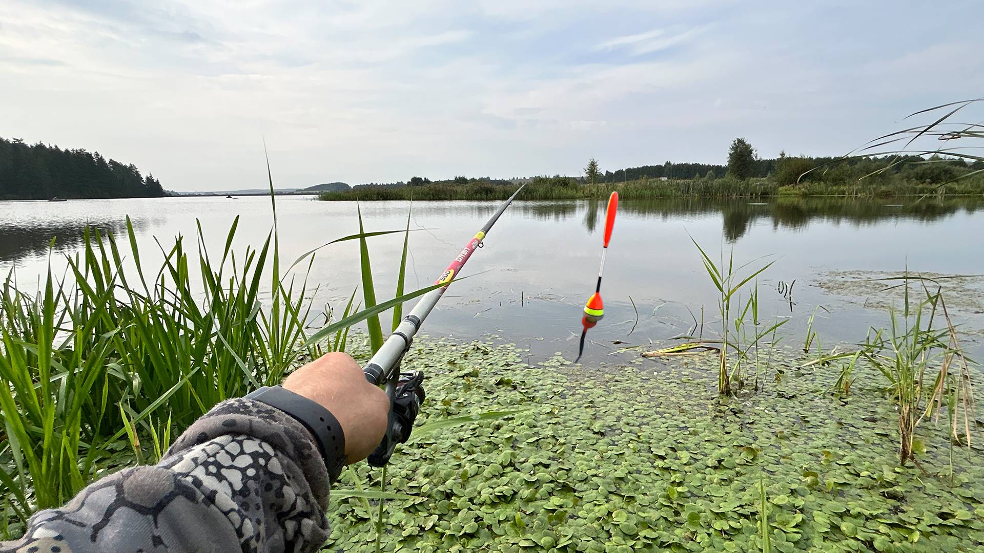 ПОПАЛИ НА ЖОР ЗОЛОТЫХ ЛАПТЕЙ! РЫБАЛКА НА ПОПЛАВОК в АВГУСТЕ.