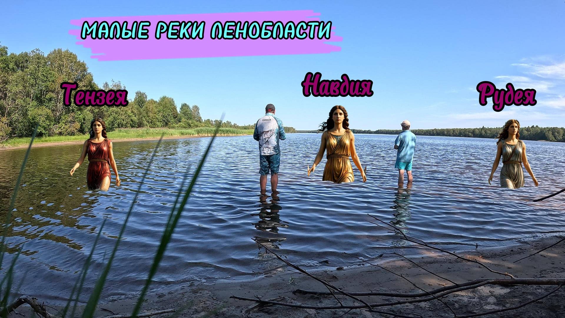 Малые реки Ленобласти: Тензея, Навдия, Рудея