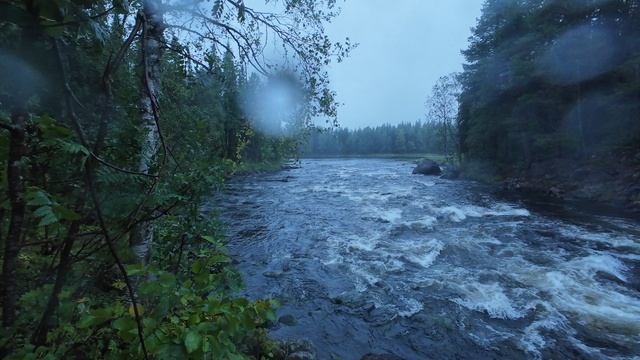 Порог Мураш левый берег ( Карелия , р. Кереть ) 25.08.25