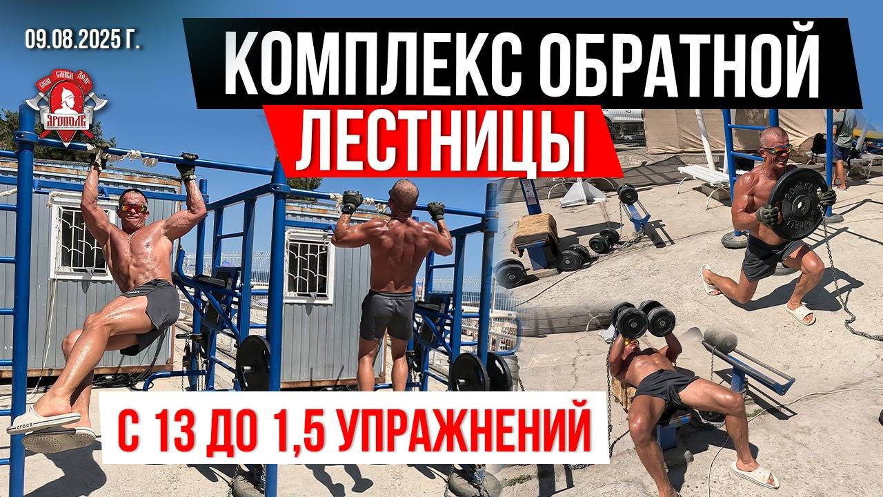 КОМПЛЕКС ОБРАТНОЙ ЛЕСТНИЦЫ / с 13 ПОВТОРЕНИЙ до 1 / 5 УПРАЖНЕНИЙ на ТУРНИКЕ с БЛИНОМ и ГАНТЕЛЯМИ