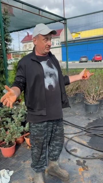 Отзыв - ремонт скважины Павловский посад Евсеево