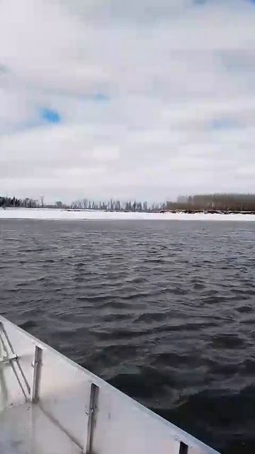 Аэролодка Нерпа 235 Стандарт видео покупателя. Томская область