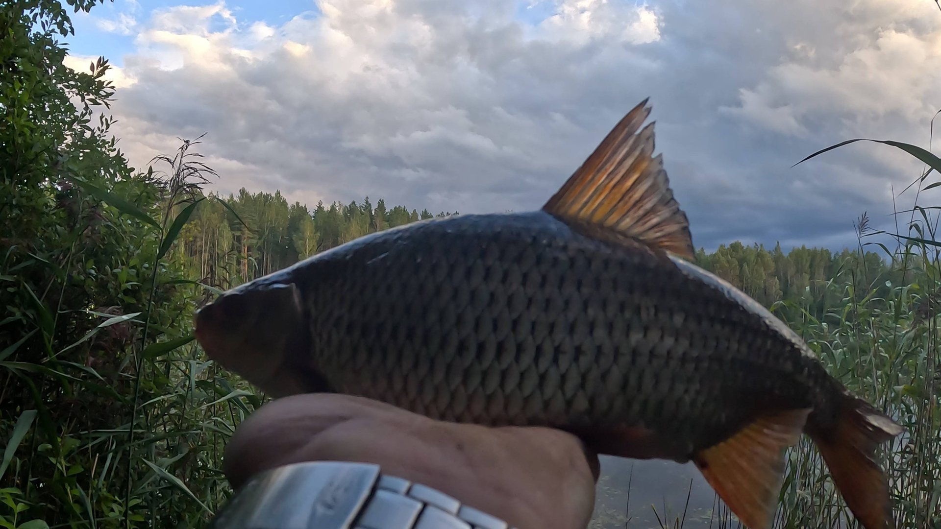 Рыбалка на ПЛОТВУ, на ПОПЛАВОЧНУЮ УДОЧКУ!!!!!