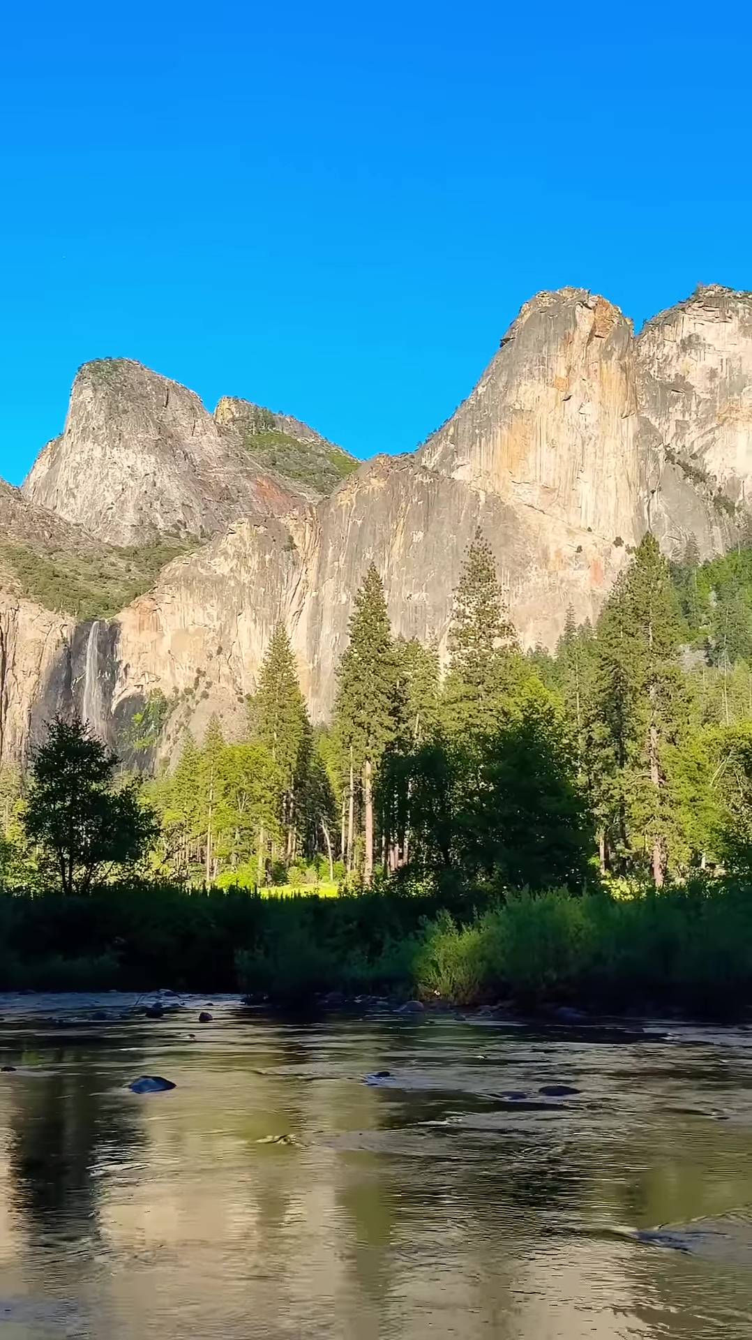 Вечнозеленый 🌲 Йосемитский национальный парк 🏞️