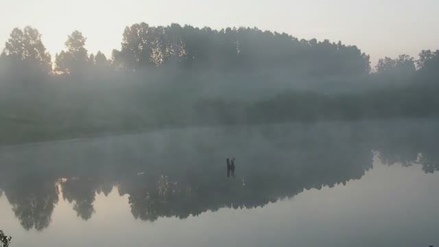 Туман ранним утром у озера в Сибири (Новосибирская область).
