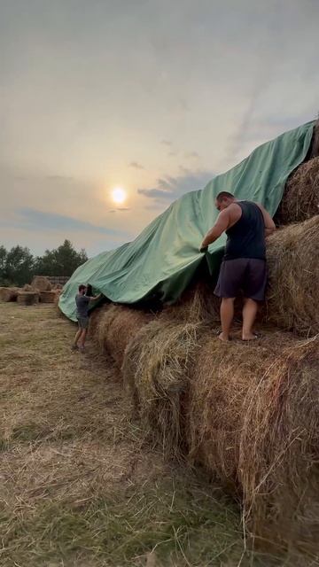 Красноярский край, укрытие рулонов сена шутц-флисом типа ПраймТэкс от Лелаф. Новый сезон!