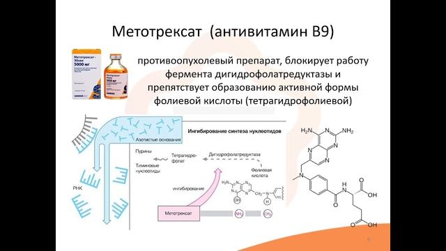10.2 Антивитамины