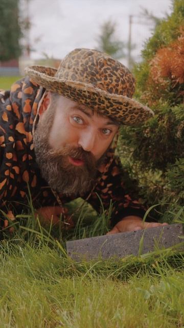 В мире Тайги