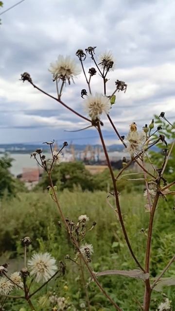 Скоро осень