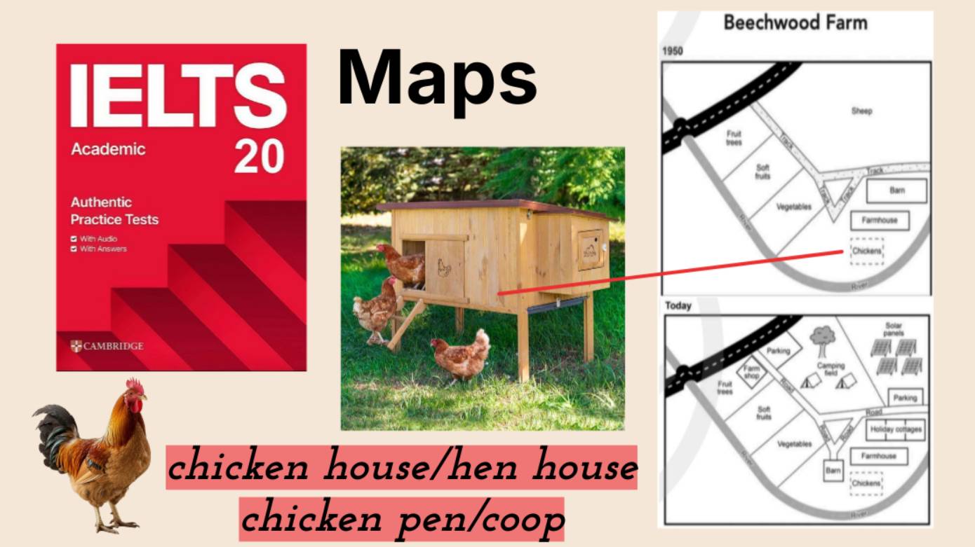 IELTS Cambridge 20 / Разбираем Writing Task 1 Test 2