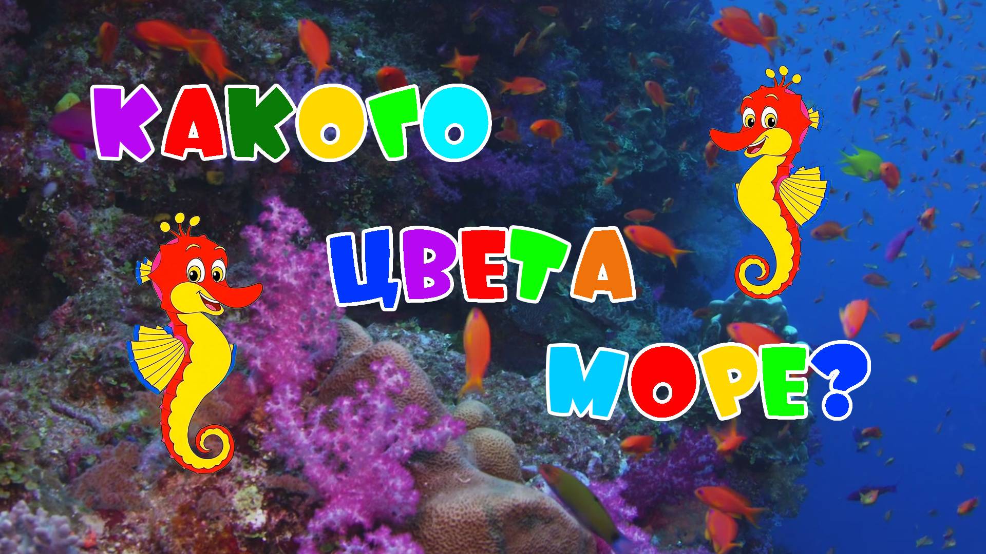 Какого цвета море? Автор стихов  Елена Лемехова, музыка Михаила Гребенщикова. Поёт Эвелина Блёданс