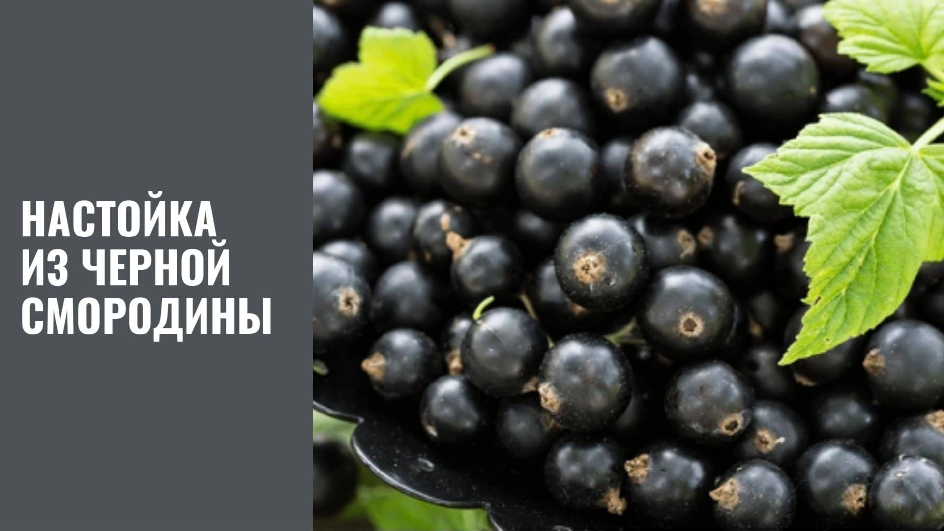 Настойка из черной смородины