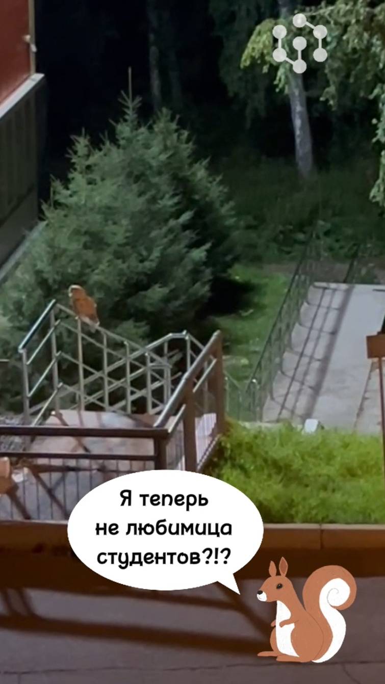 Когда ты — неясыть, а твой дом — это кампус СФУ #shorts