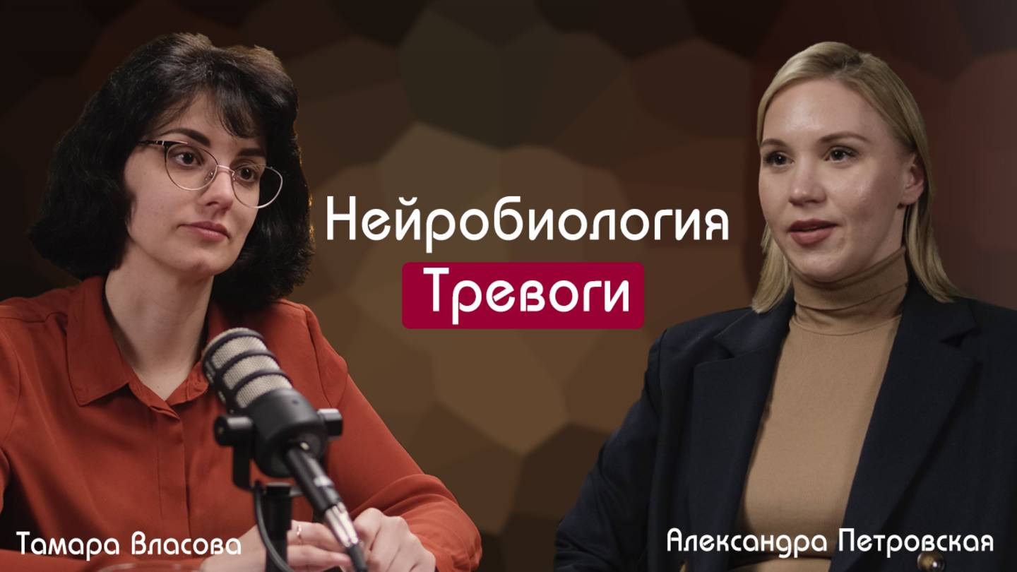 🧠 Нейробиология тревоги