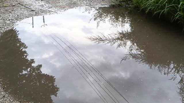 После дождичка....скоро осень..