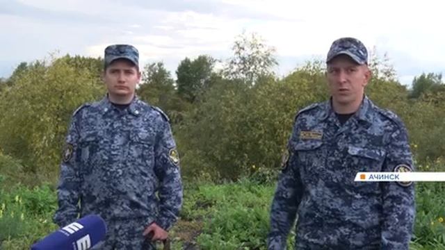 Енисей. Под Ачинском спасли заблудившегося в лесу пенсионера