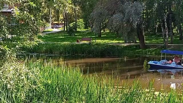 Очень смешной анекдот , рассказанный Познером