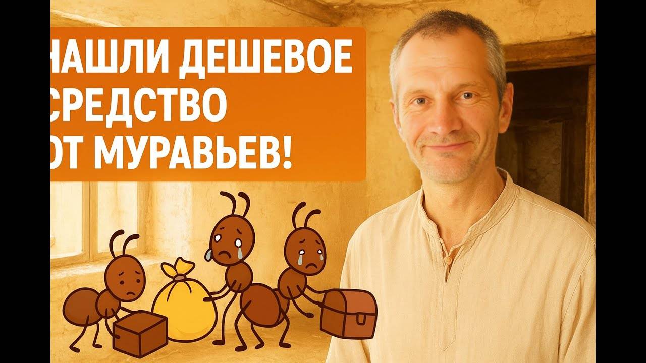 Нашли дешёвое средство от муравьёв в доме (Грузия)