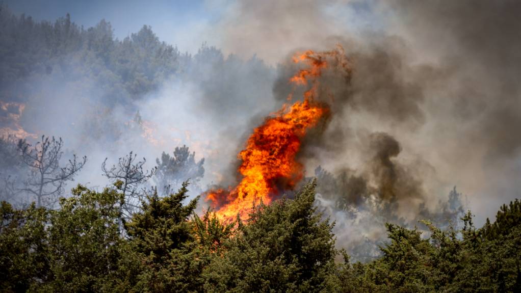 Вертолёт МЧС России участвовал в тушении пожара близ посёлка Сахарная головка в Севастополе