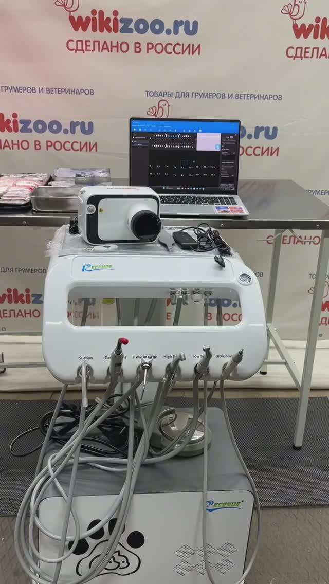 Необходимое оборудование для ветеринарного стоматолога