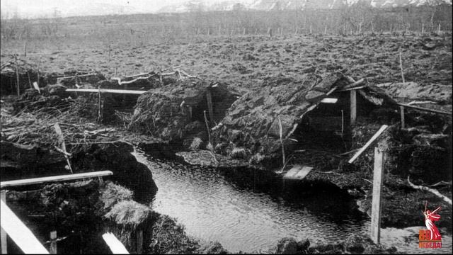 Нижегородская область