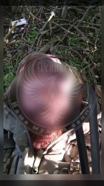 Смех на войне: стендапы от бойцов ГРУППЫ ФЕНИКС