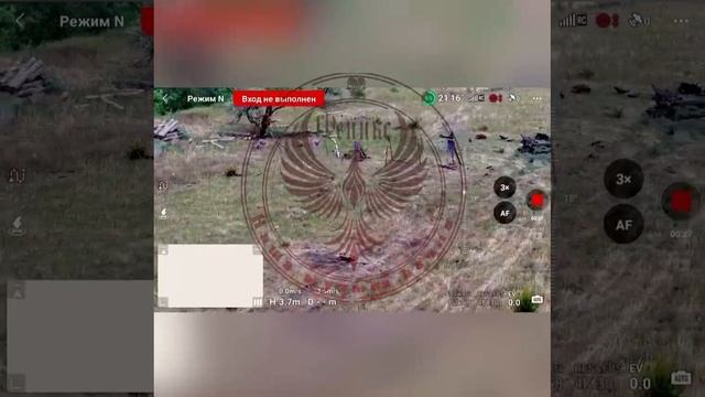 Зоркое око инструкторов Группы Феникс