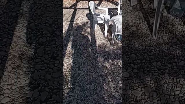 Мистерия Даров моря для пирамиды, в котороймы сеем эти Зерна Духа будущих урожаев дел. Универсолис