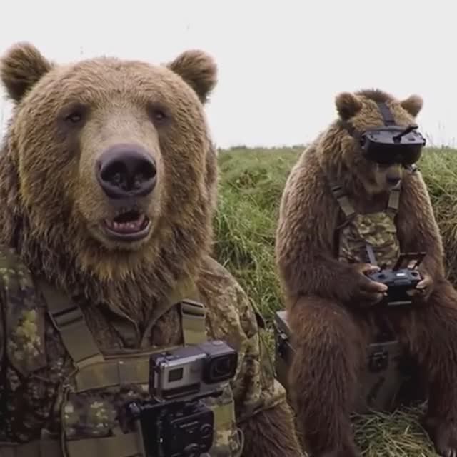 МИХАЛЫЧ,ИГОРЬ и ПТИЧКА!! )))