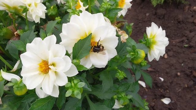 Успеваем работать между дождями! 😃👍