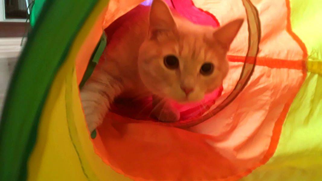 Нет, спим мы не всегда...