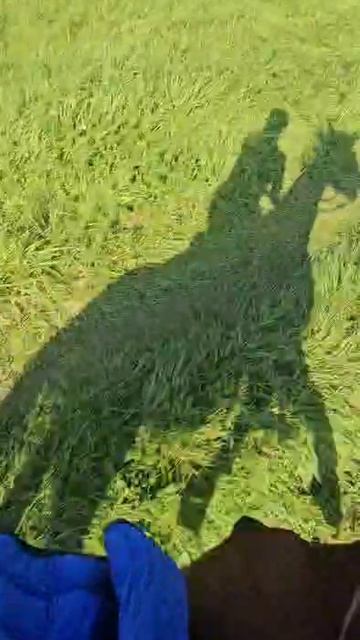 Остановите лето! Я не успеваю отдыхать!