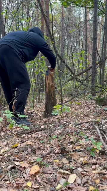 П2410 Петарды ZEUS Зевс (5 шт)