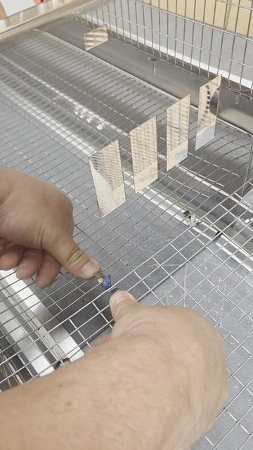 сборка клетки нюансы