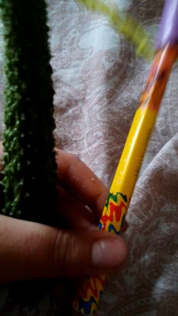 Вапобо танцуют вместе с диким огурцом (он скоро будет в тренде Вапобо на моём канале )