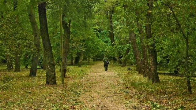 УХОДИТ АВГУСТ