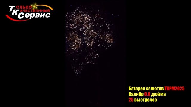 TKPM2025 Батарея салютов Дакар 25 х 0.8