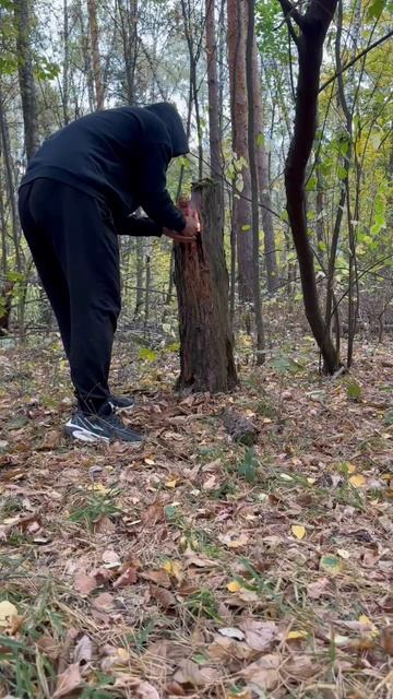 П3708 Петарды Мега Zаряд 8 (3 шт)